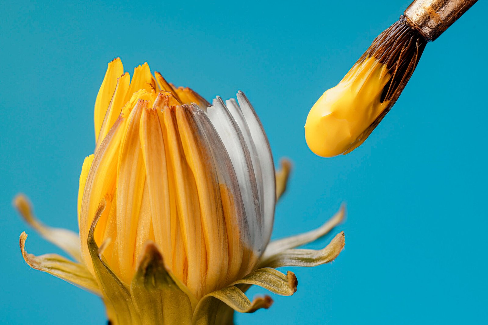 Agfa-Gevaert Enlarger Lenses - delta